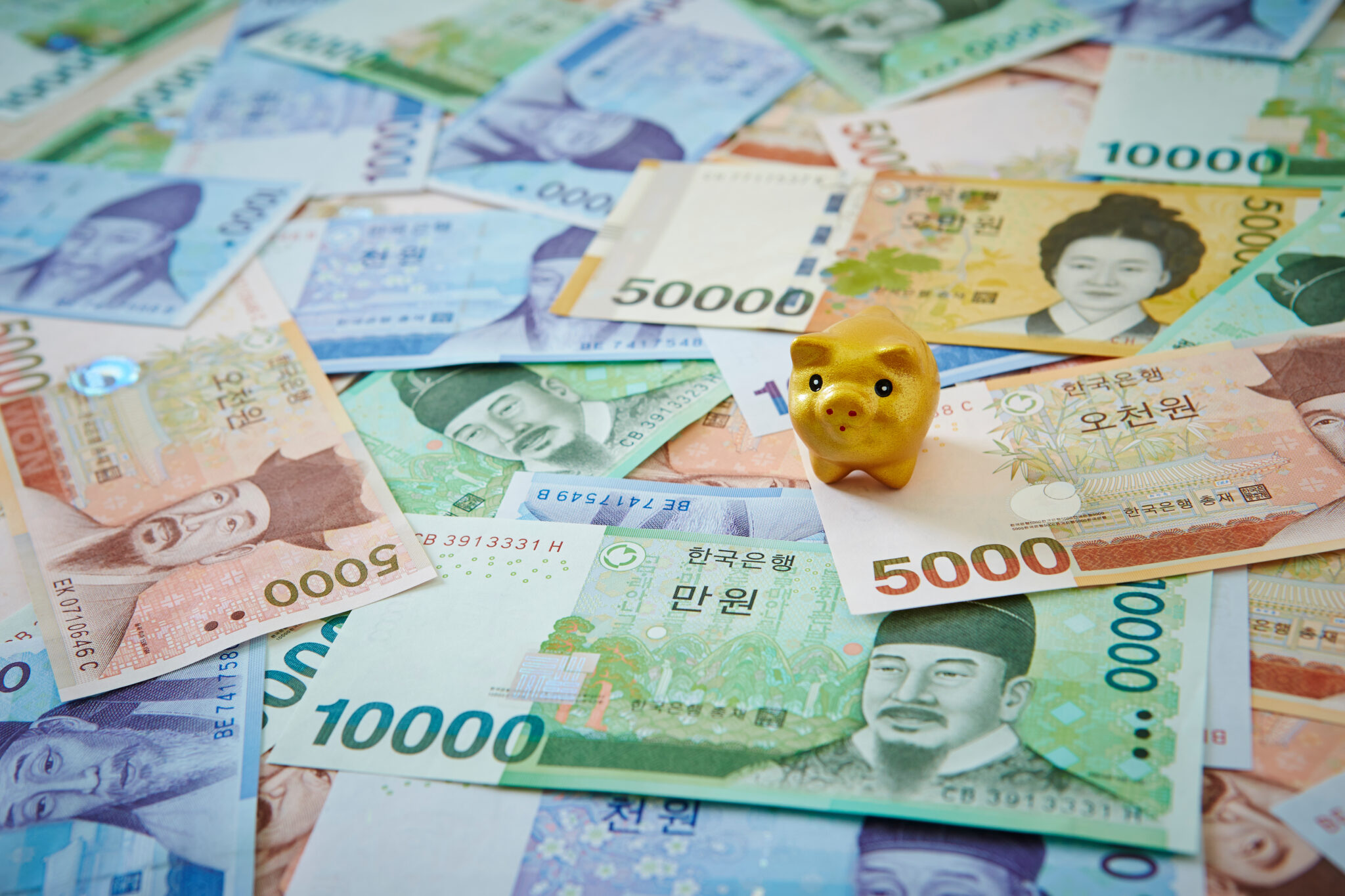 Introducing the latest currency exchange rates in Korea! - NPO ...